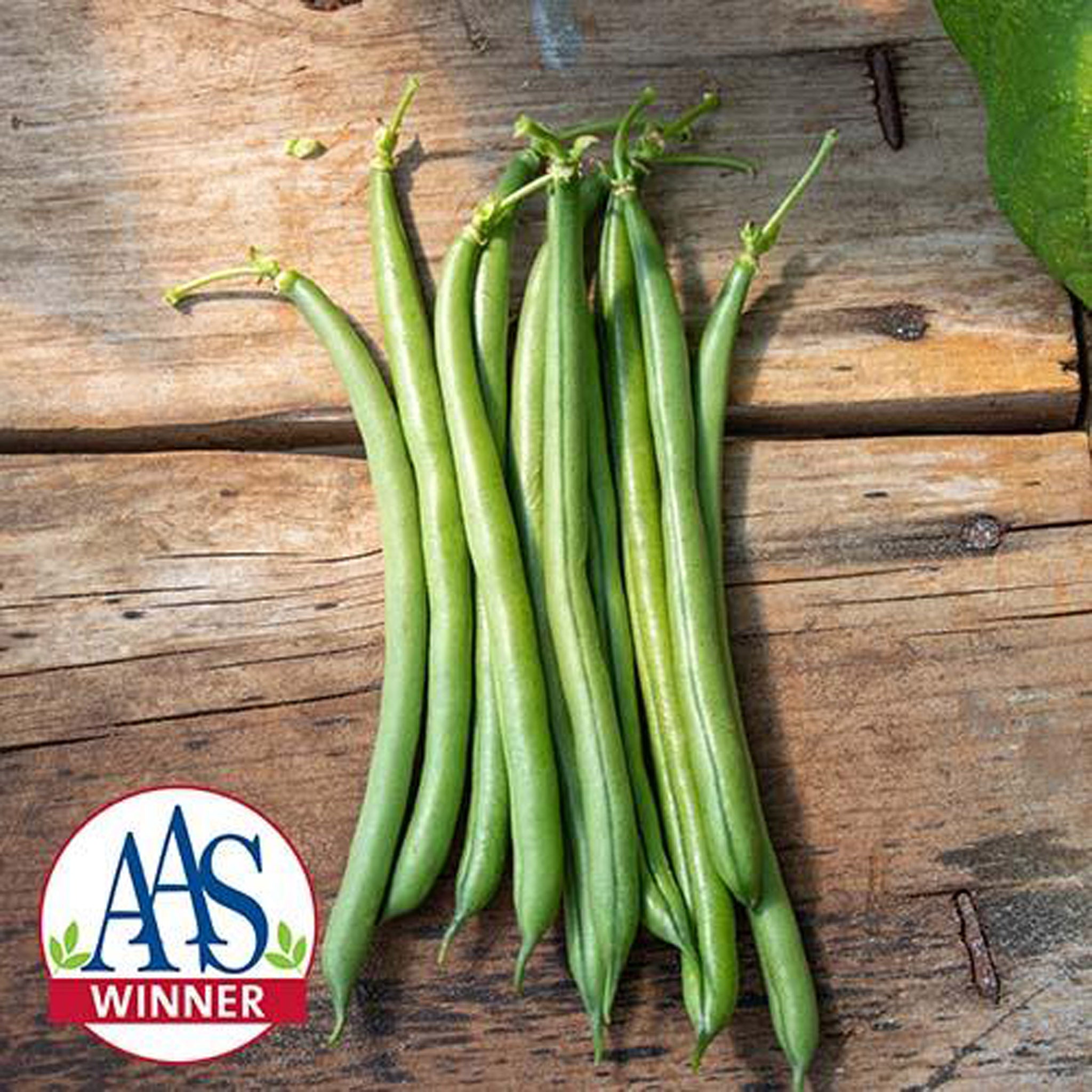 Pole Bean, Seychelles Organic – William Dam Seeds