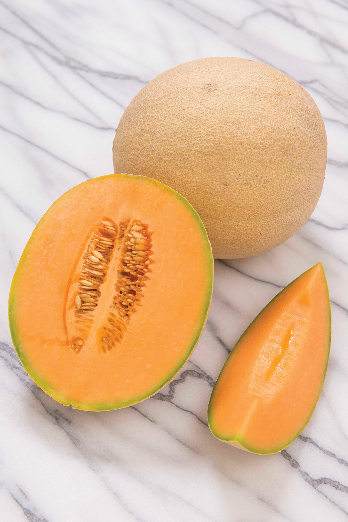 Melons, Sarahs Choice Hybrid – William Dam Seeds