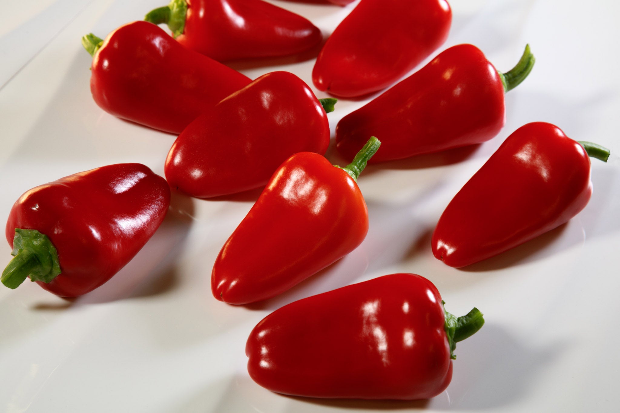 Peppers, Ruby Delite – William Dam Seeds