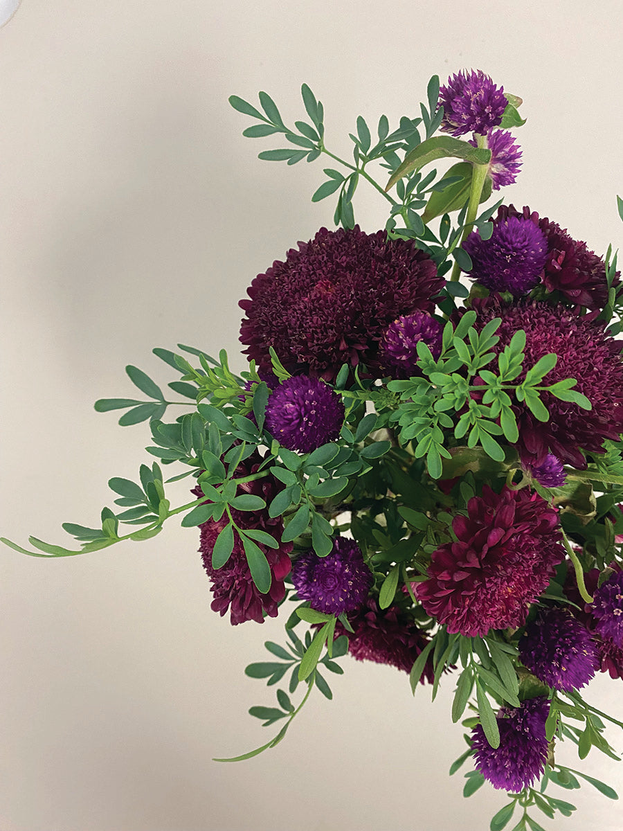 Rue, Barry – William Dam Seeds