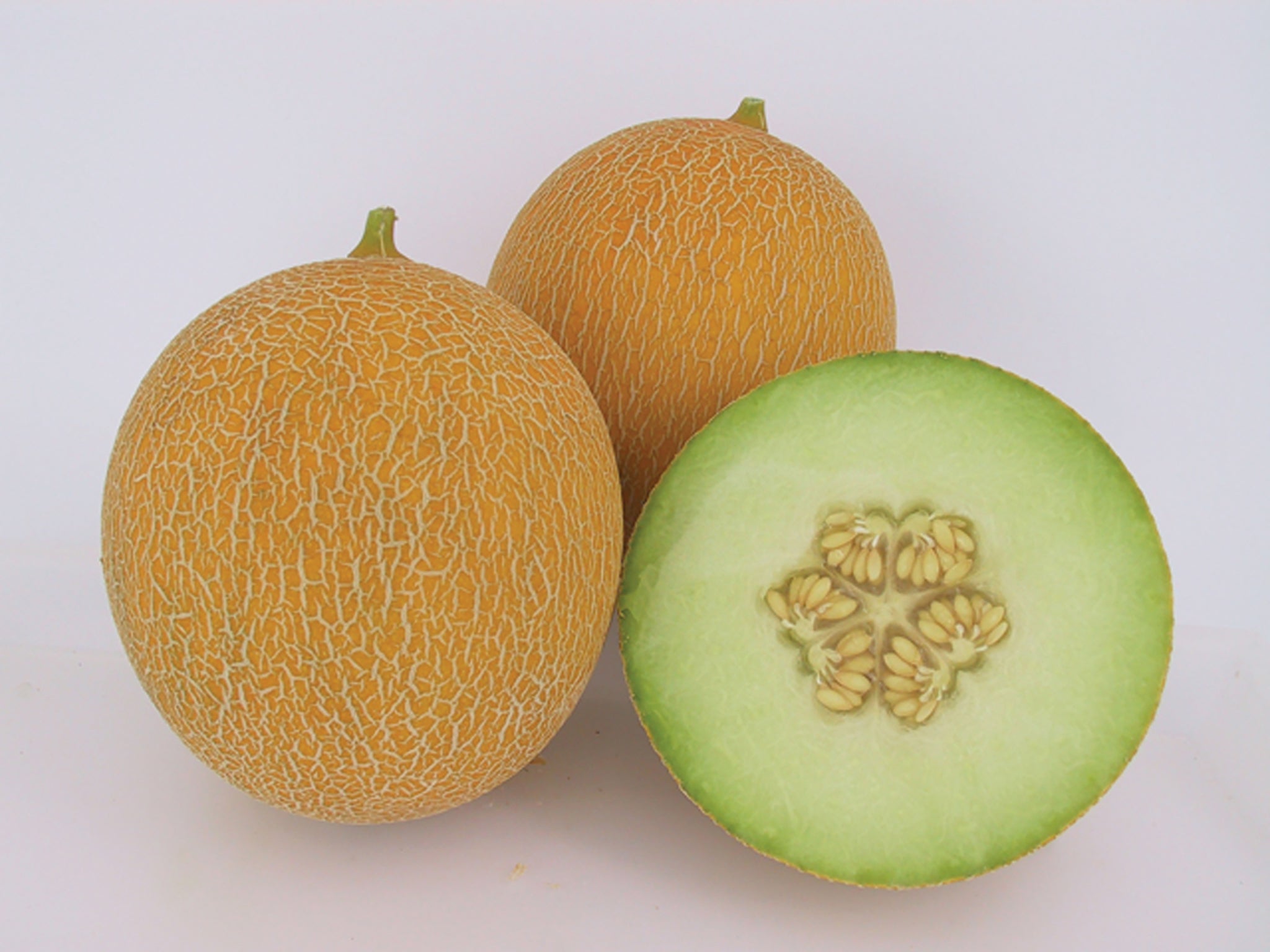 Melons, Arava Hybrid Organic – William Dam Seeds