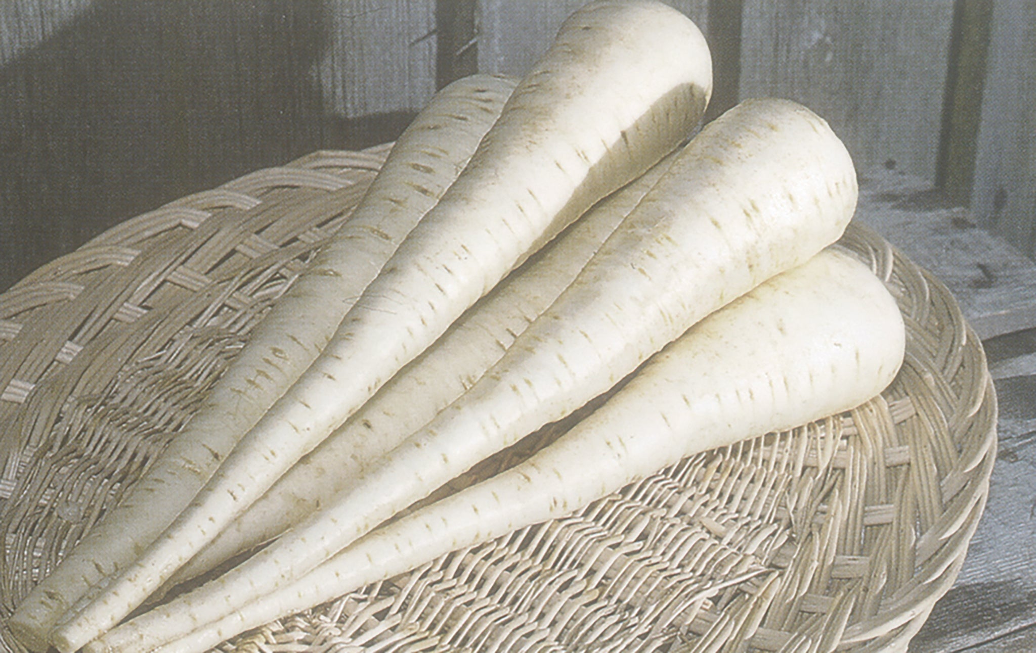 Parsnip, Albion Hybrid – William Dam Seeds