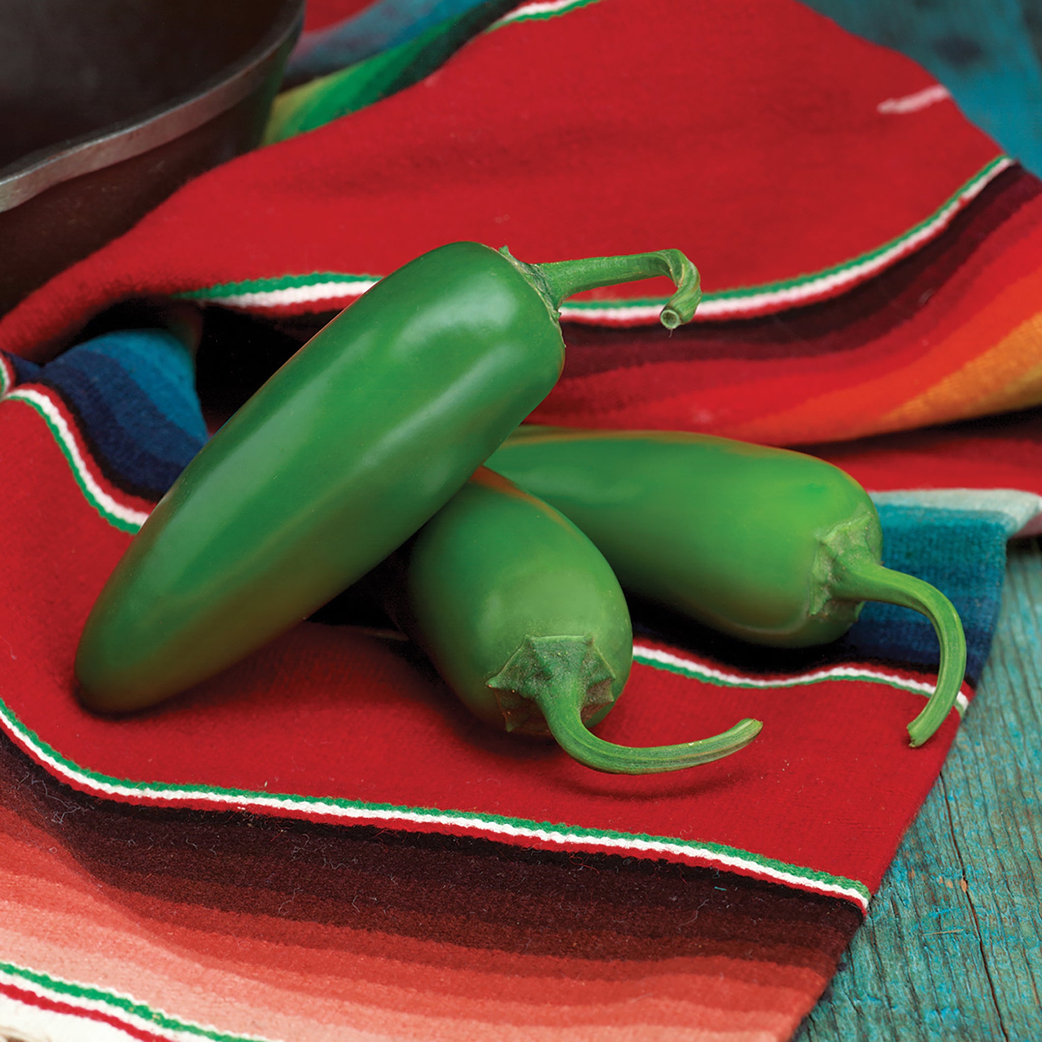 Peppers, Compadre Hybrid – William Dam Seeds
