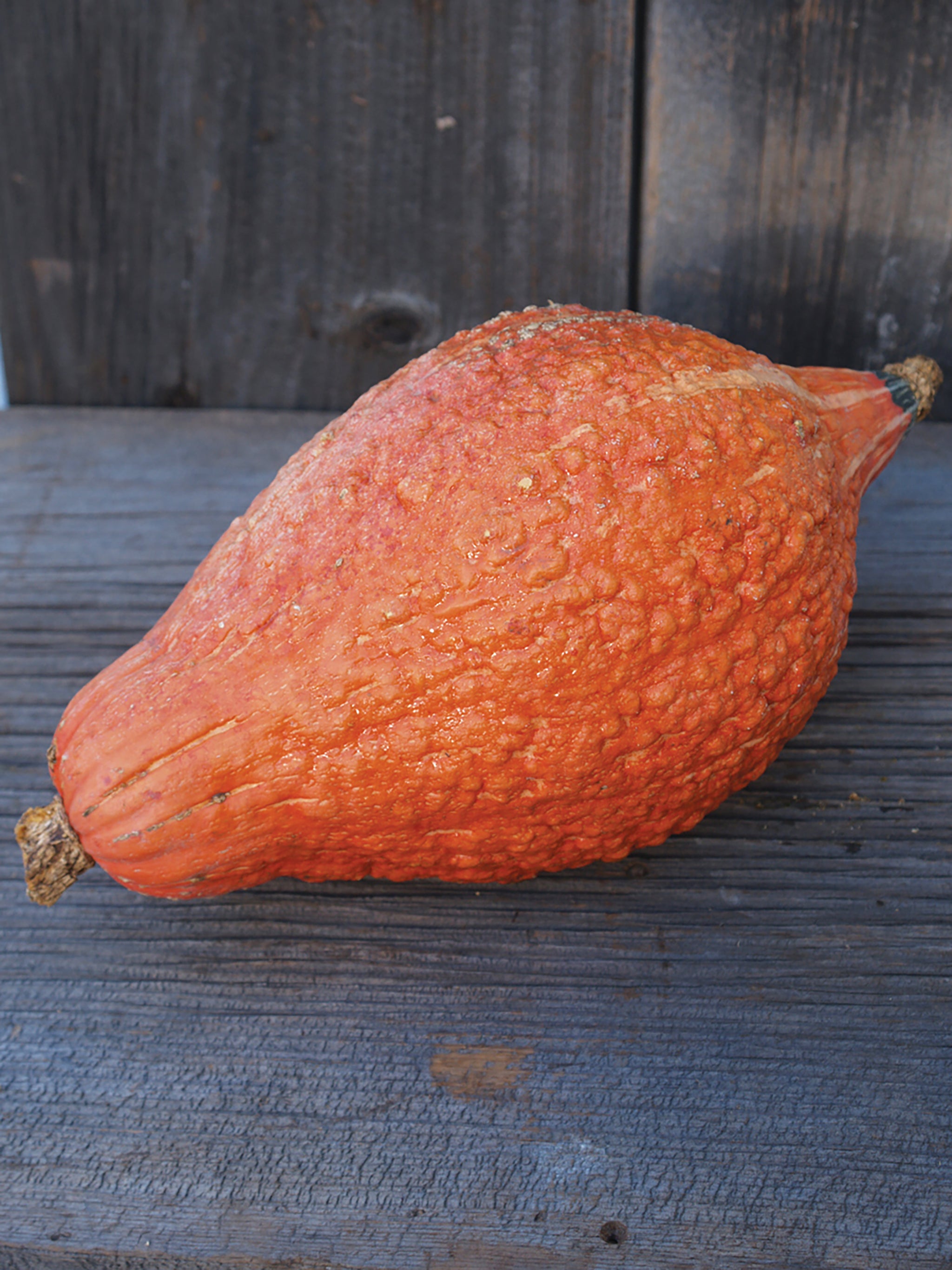 Golden Hubbard Squash