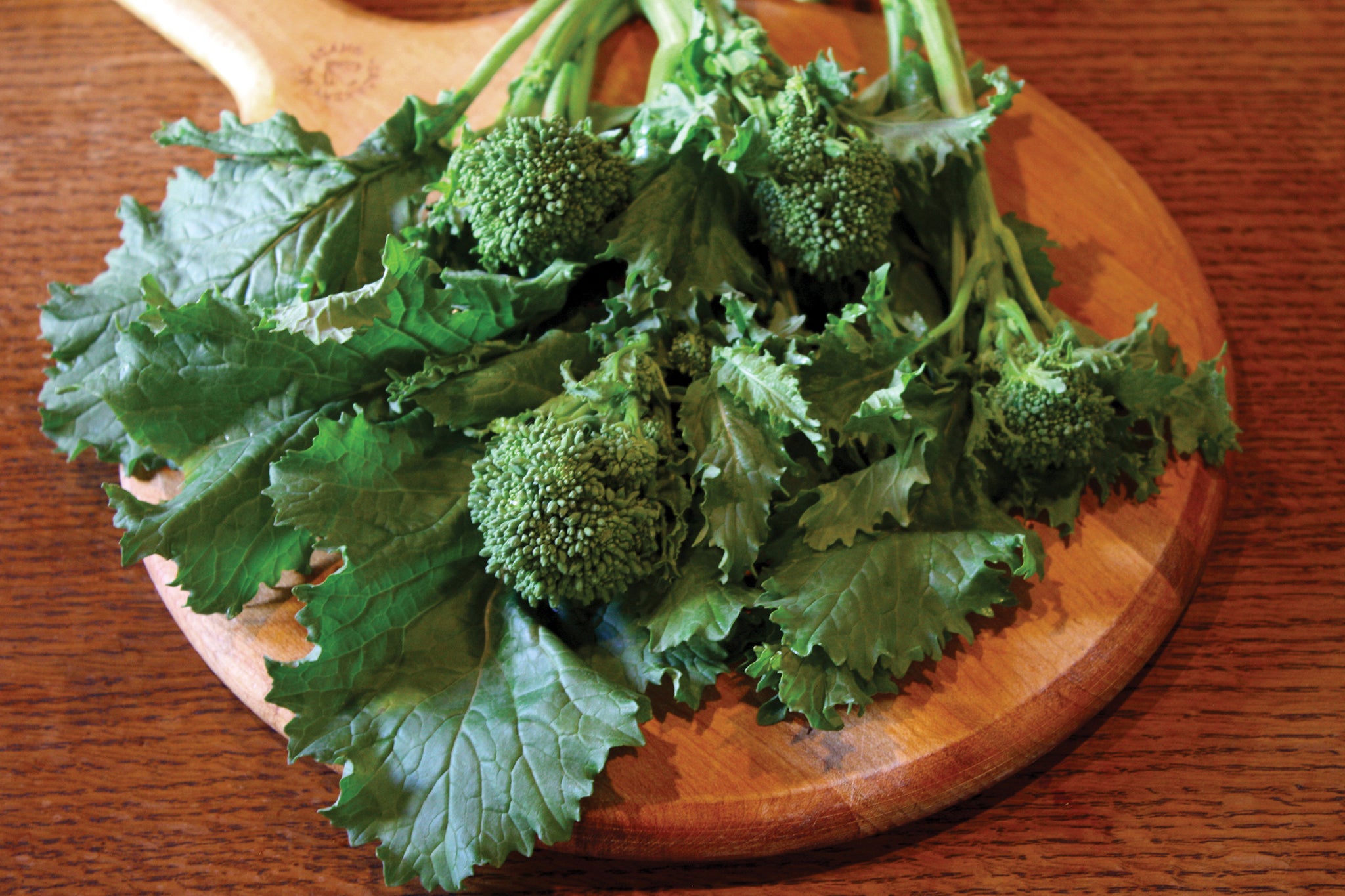 Rapini, Sorrento – William Dam Seeds