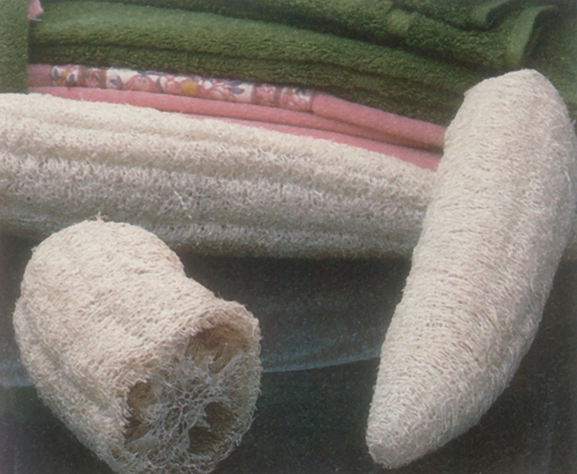 Gourds, Luffa Hybrid Cylinder #3 – William Dam Seeds