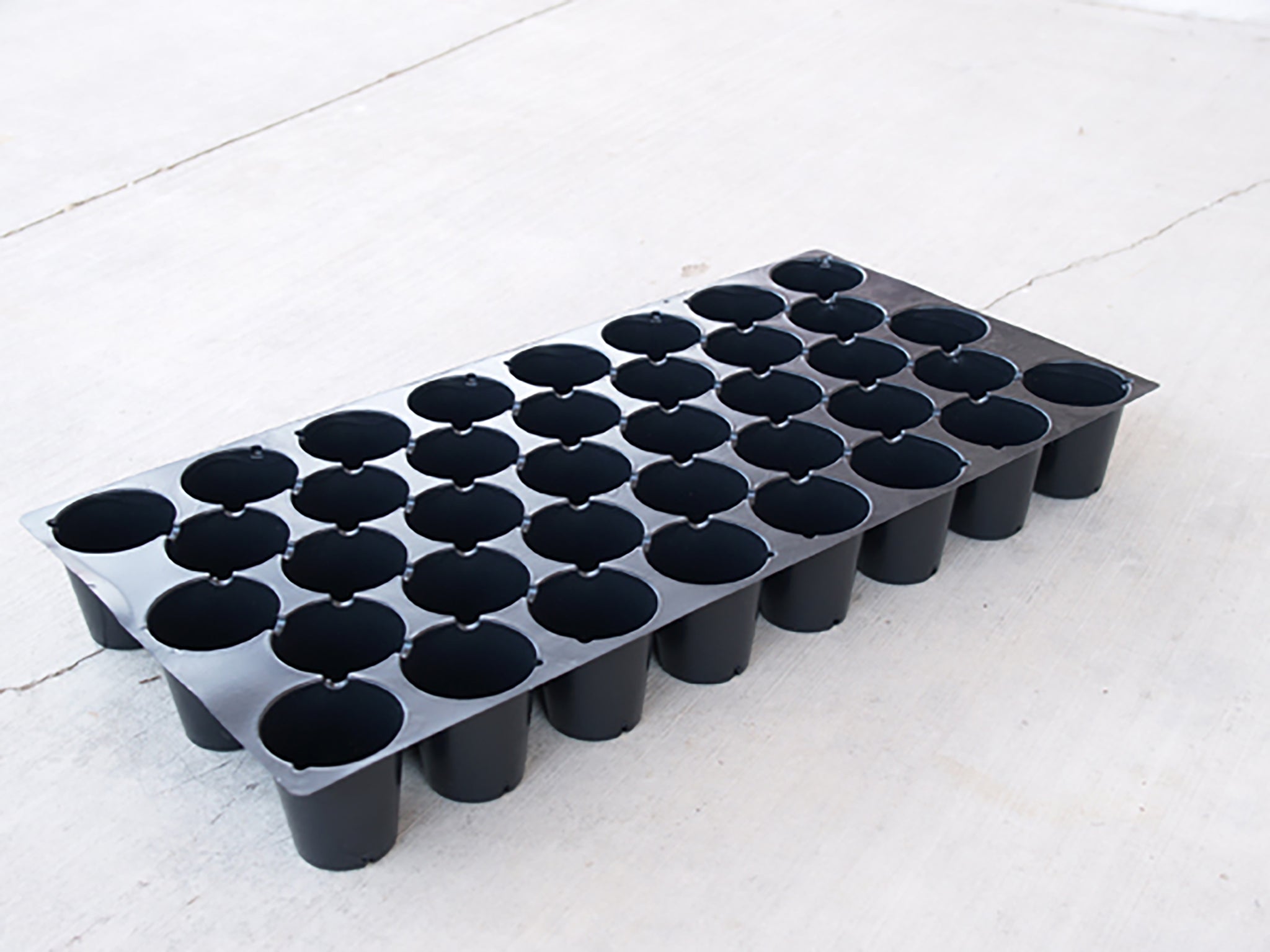 Paks, Pots, and Trays, Plug Sheet 38 cells – William Dam Seeds