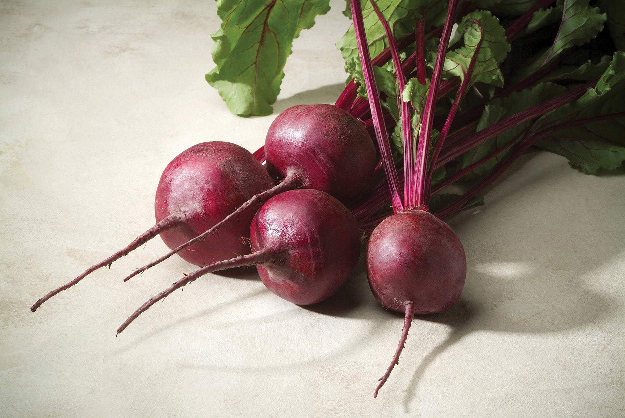 Beets, Merlin Hybrid – William Dam Seeds